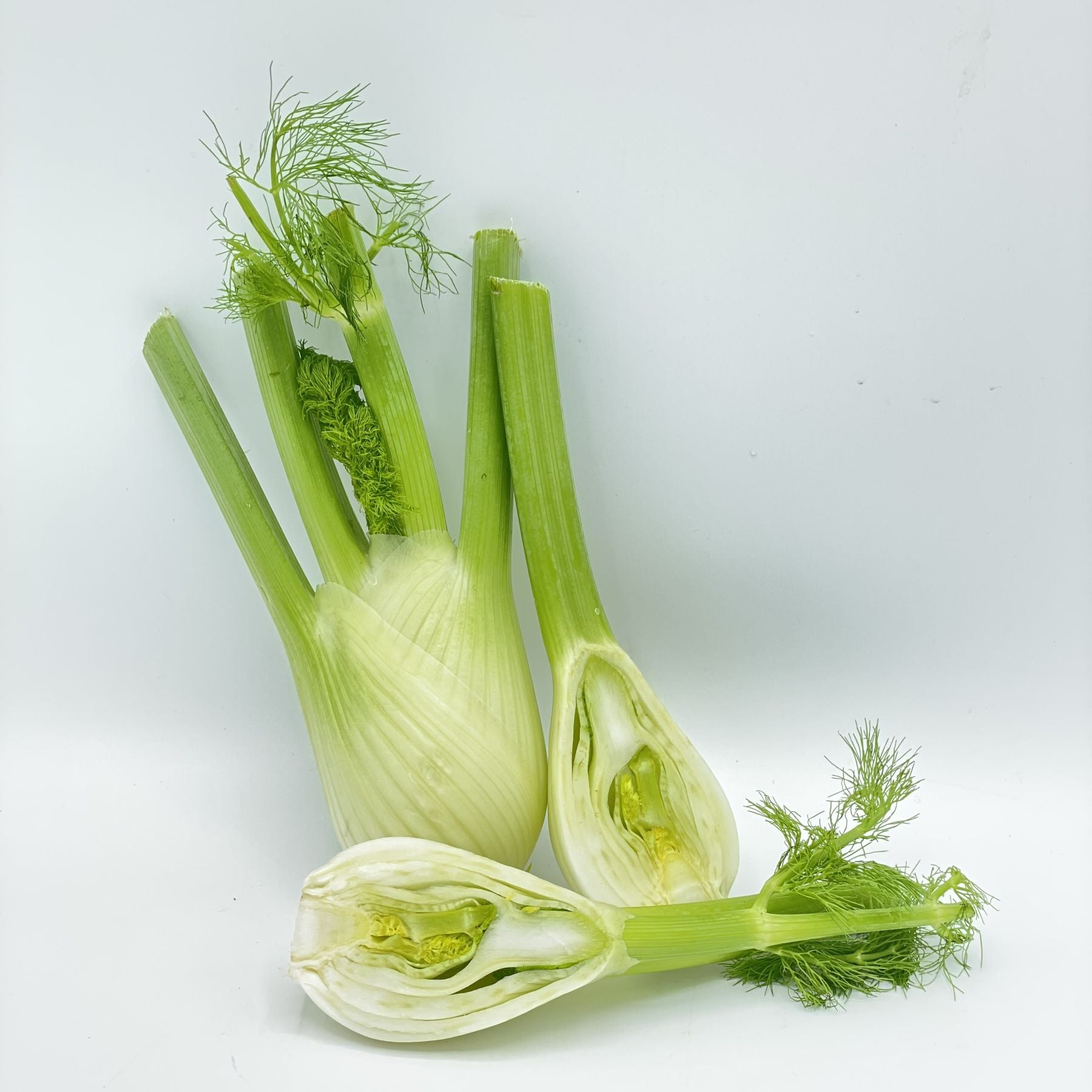 Fenchel – Kaninchenkiste